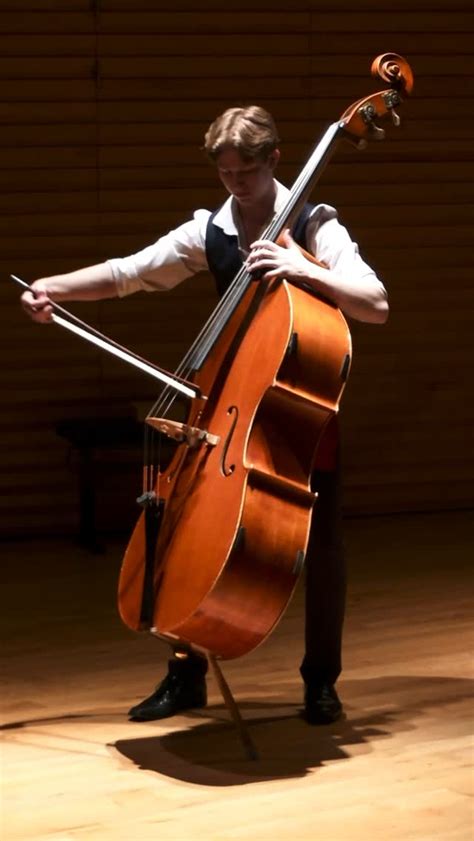 Levi Andreassen Double Bassist Leviandreassen • Instagram Photos And Videos