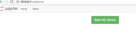 Not Running Jupyter Notebook Containers Via Jupyterhub Container