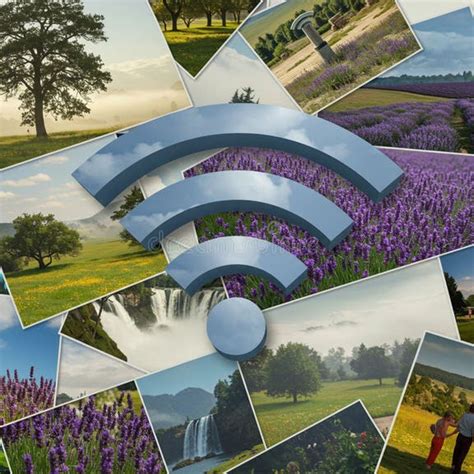 A Collage Of Nature Landscapes Including Fields Of Lavender Lavandula