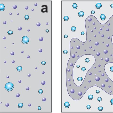 Conceptual Diagrams Of A Genuine And B Conditional Mixed‐phase Download Scientific Diagram