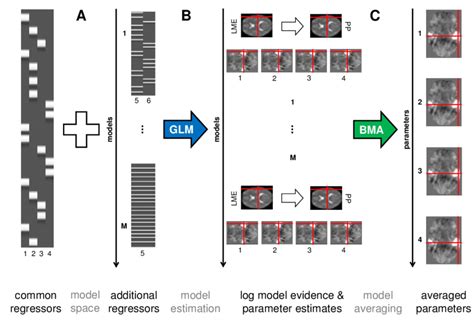 Model Averaging For General Linear Models In Fmri Data Analysis This Download Scientific
