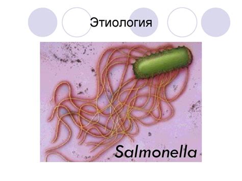 Salmonella Antibiotic Coverage