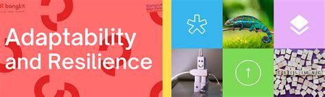 5 Ways Of Adaptability And Resilience By Mira Medium