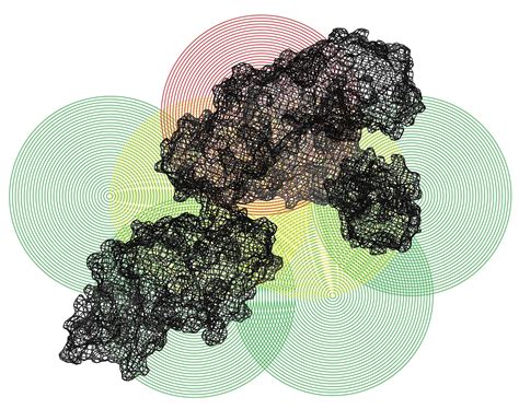 Great Experiments The Discovery Of Taq Polymerase And The Invention Of PCR