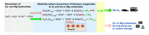 Schematic Representation Of The Multiphase Chemical Interactions Download Scientific Diagram