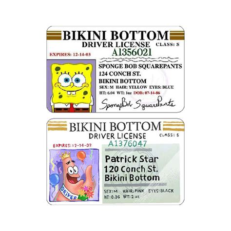 قیمت و خرید استیکر کارت رایسان طرح گواهینامه باب اسفنجی و پاتریک کد Sc0028 مجموعه 2 عددی