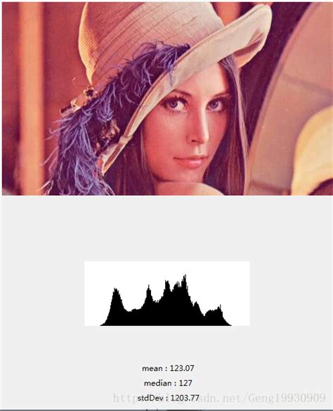灰度直方图绘制 Csdn博客