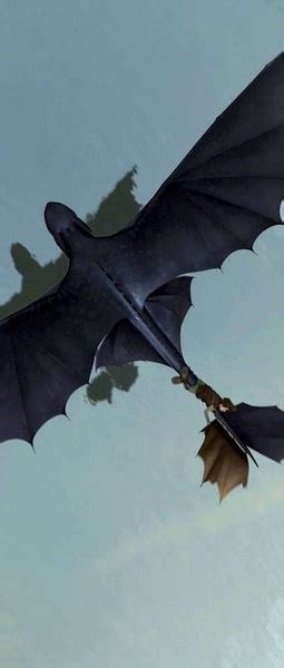 Toothless Flying Reference