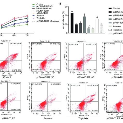 Effect Of Upregulation Of Tlr7 Gene Expression Inhibited Activation Of Download Scientific