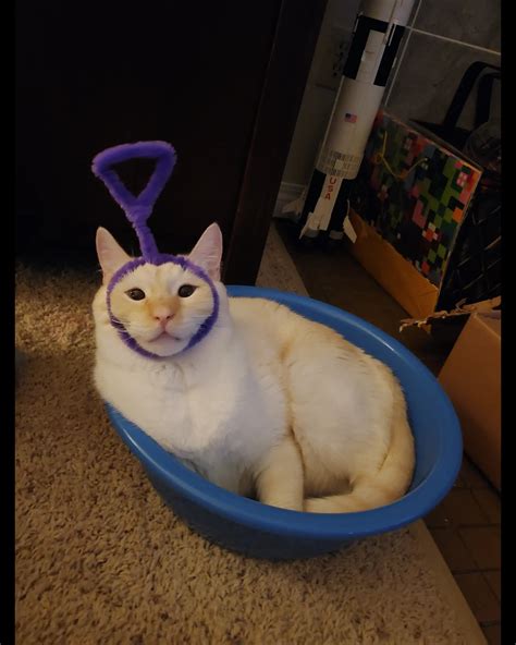 Tinky Winky Scrolller