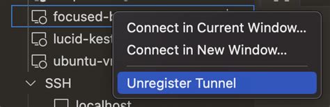 Unregister Vscode Tunnels · Issue 7541 · Microsoftvscode Remote