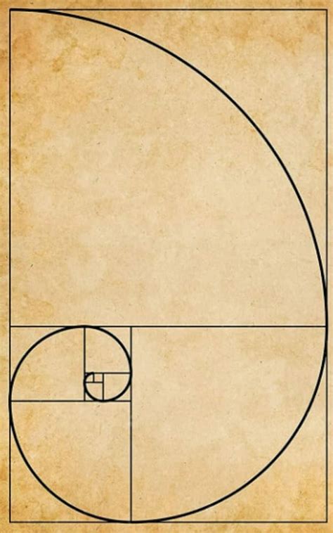 The Golden Ratio Fibonacci Fibonacci And Golden Ratio Lets Talk
