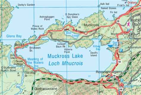 Muckross Lake Loop 09 February 25 Sneem Walking Club