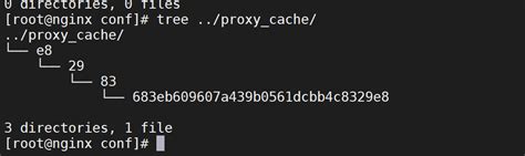 Nginx缓存配置教程 Csdn博客