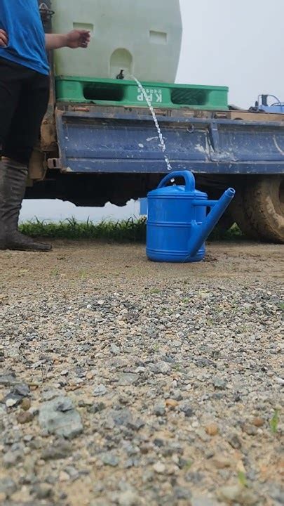 잡초와의전쟁 논두렁 잡초제거 Youtube