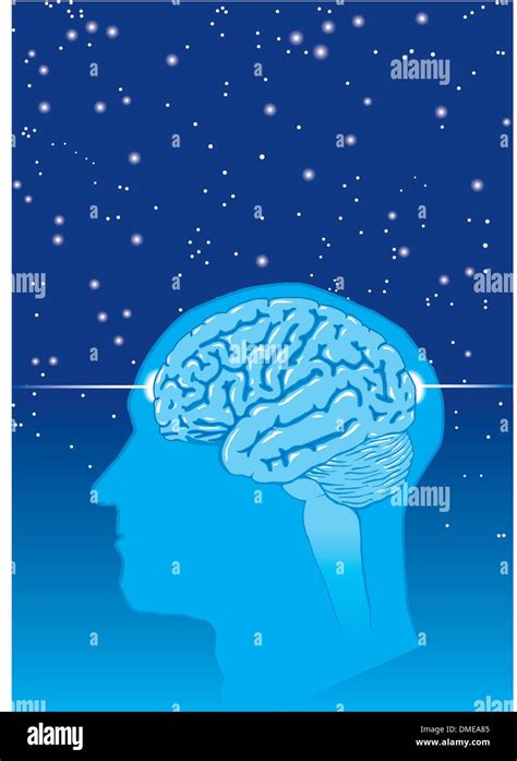 Human Brain Activity Stock Vector Images Alamy