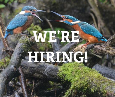 Cornwall Wildlife Trust On Linkedin Cornwalljobs Environmentjobs