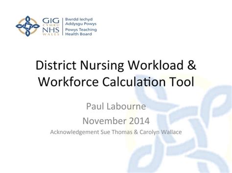 Paul Labourne District Nursing Workload And Calculation Tool Ppt