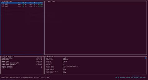 Pm2 Nedir Pm2 Ile Nodejs Process Yönetimi Çözümpark