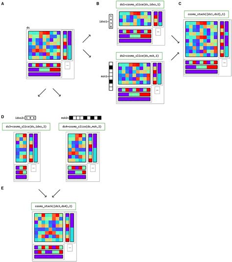 Frontiers Cosmomvpa Multi Modal Multivariate Pattern Analysis Of Neuroimaging Data In Matlab