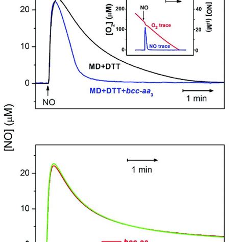 Proposed Catalytic Cycles Of Heme Copper Cytochrome C Oxidase And Download Scientific Diagram