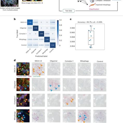 A Classifier Trained By Images Using Deep Neural Network Accurately