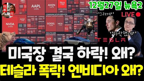 미국주식시황오늘 왜 하락했나 테슬라는 폭락 엔비디아 하락 왜 구글 애플 아마존 메타 마이크로소프트 팔란티어 아이온큐 리게티 브로드컴 Lly 노보등 Tsla