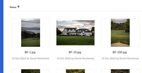 tags have disappeared in grid view box support