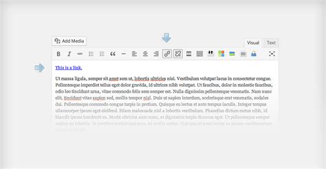 Comment Utiliser Les Formats De Blog De Divi Woofrance Dépannage Et