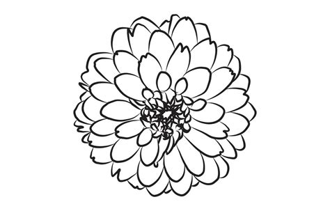 Flower Vector Graphic Design For Prints Vector Illustration 23216602 Vector Art At Vecteezy