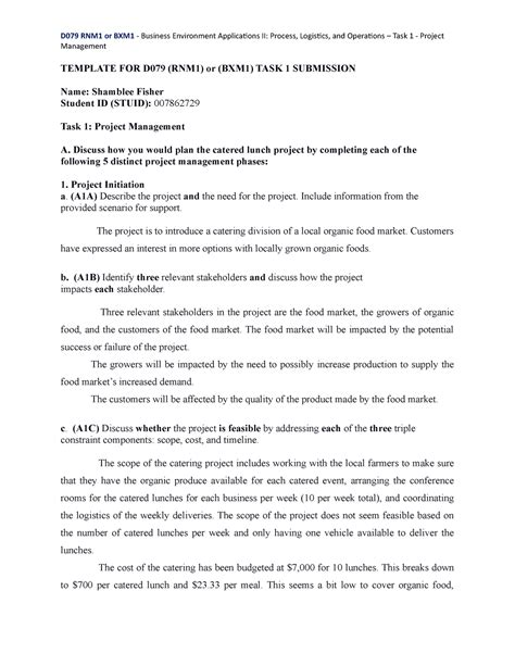 D Template Task D RNM Or BXM Business Environment Applications II