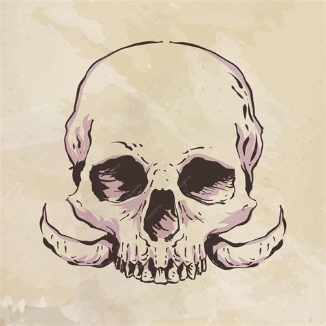 Premium Vector Hand Drawn Vintage Skull Illustration