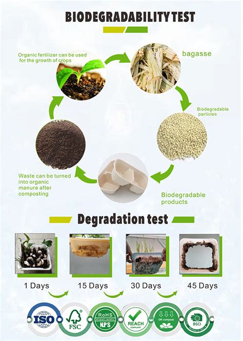 Oem Sustainable Recyclable Biodegradable Eco Face Cream Bagasse