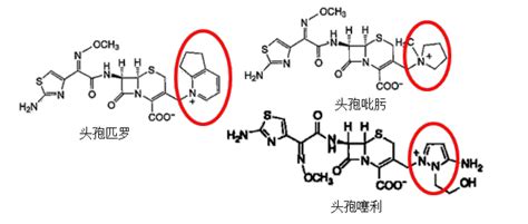 执业药师 抗生素总结 头孢菌素类 知乎