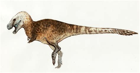 Tarbosaurus Dinopedia Fandom Powered By Wikia