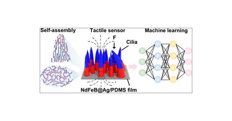 Flexible Tactile Sensors With Self Assembled Cilia Based On Magnetoelectric Composites Acs