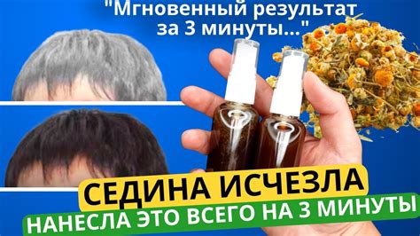 🔥Седые волосы исчезнут навсегда всего за 3 минуты 100 эффективность Без окрашивания Youtube
