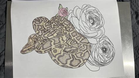 Wip Of A Burmese Python Page From Into The Keepers Garden Rcoloring