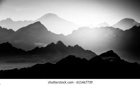 58 Thousand Black White High Contrast Royalty Free Images Stock