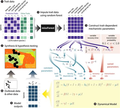 Model Parametrization From Observable Trait Data An Incomplete Data Download Scientific