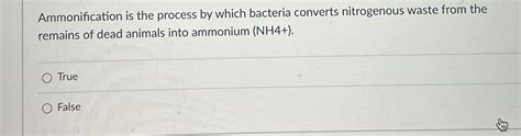 Solved Ammonification Is The Process By Which Bacteria