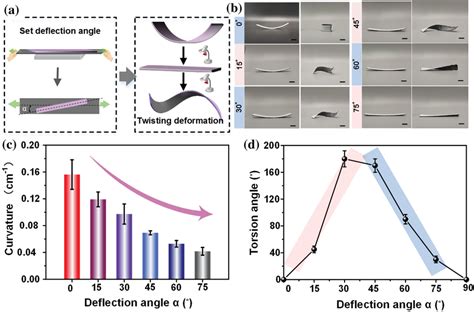 Effect Of Deflection Angle On The Deformation Of The Bilayer Structure Download Scientific