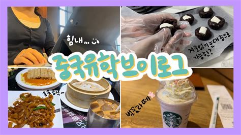 중국유학 Vlog 온라인 수업도 나름 바쁘답니다🤓 • 파스타 만들고 쿠키도 만드는 대학원생🍪 • 천진에 봄이 왔어요🌱 Youtube