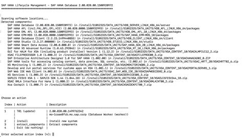 Sap Hana Platform Lifecycle Management By The Sa Sap Community