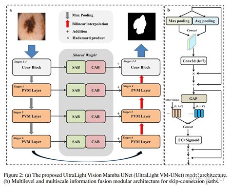 ultralight vm unet：并行视觉mamba显著减少皮肤病变分割参数 知乎