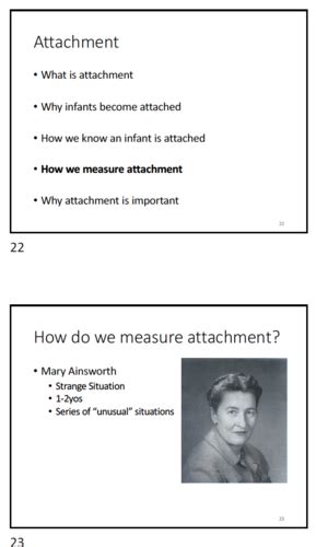 Psych Flashcards Quizlet