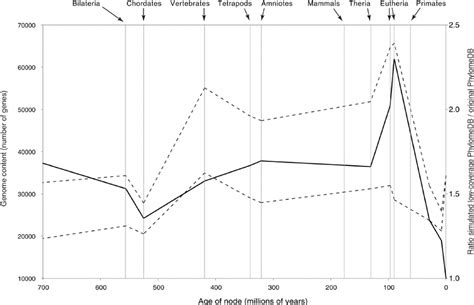 Simulations Of Low Coverage Genomes And Their Impact On Gene Content