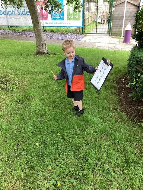 Year 1 Science Trees And Leaves Delph Side Community Primary School