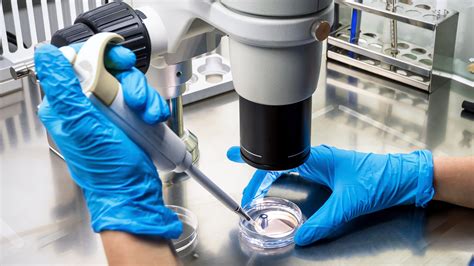 Dismantling Systemic Ableism In Health Research The 14