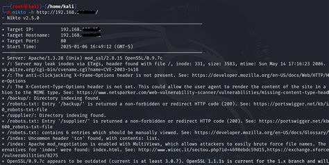 Web Vulnerability Scanning With Nikto